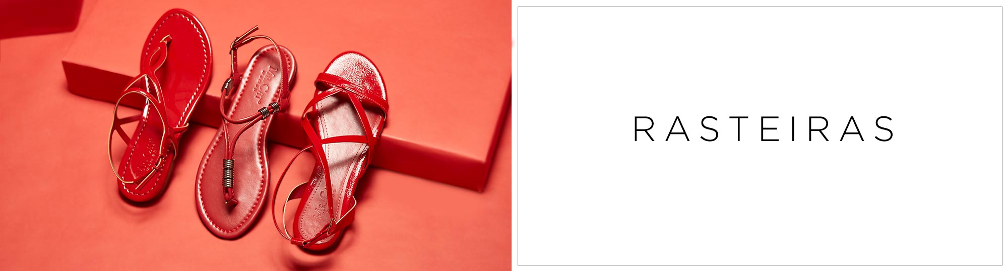 Sandálias Rasteiras | Rasteirinhas | Gladiadora, Cobra | Mr. Cat