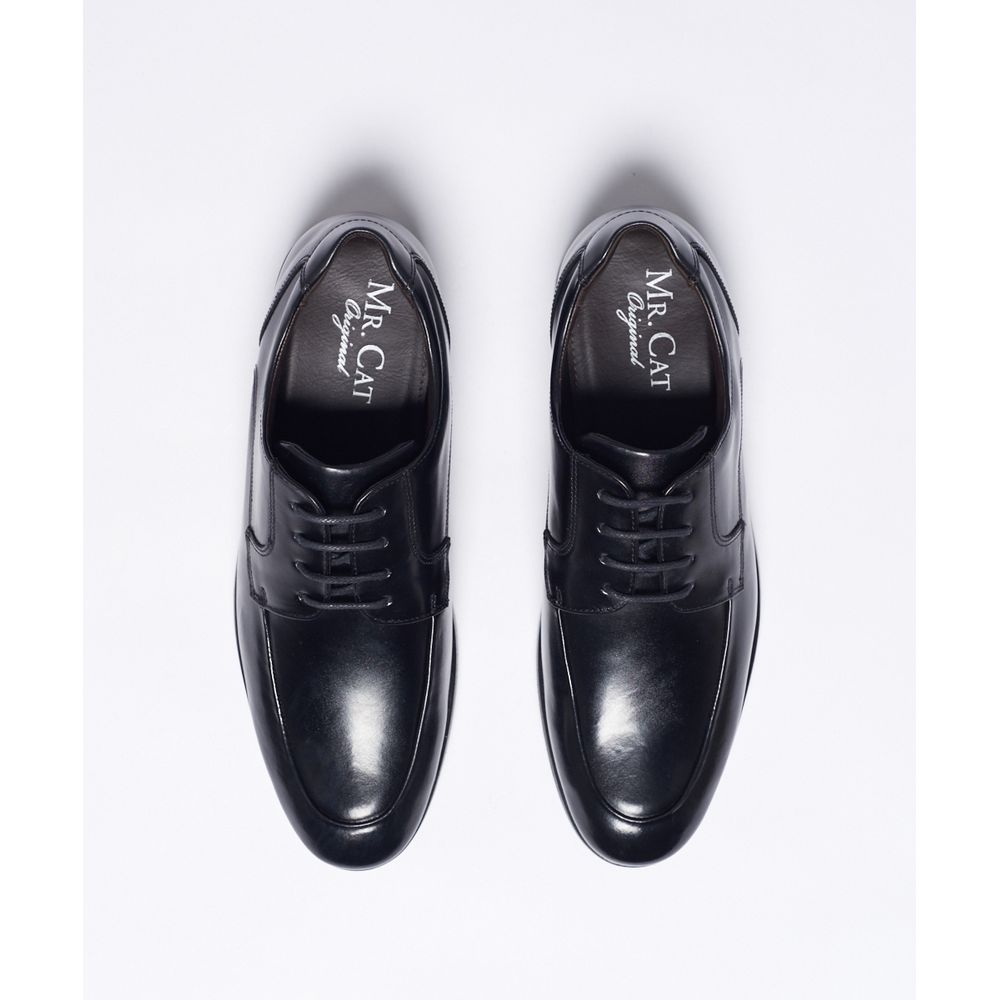 SCOT CRETA PRETO - Mr Cat - Desktop